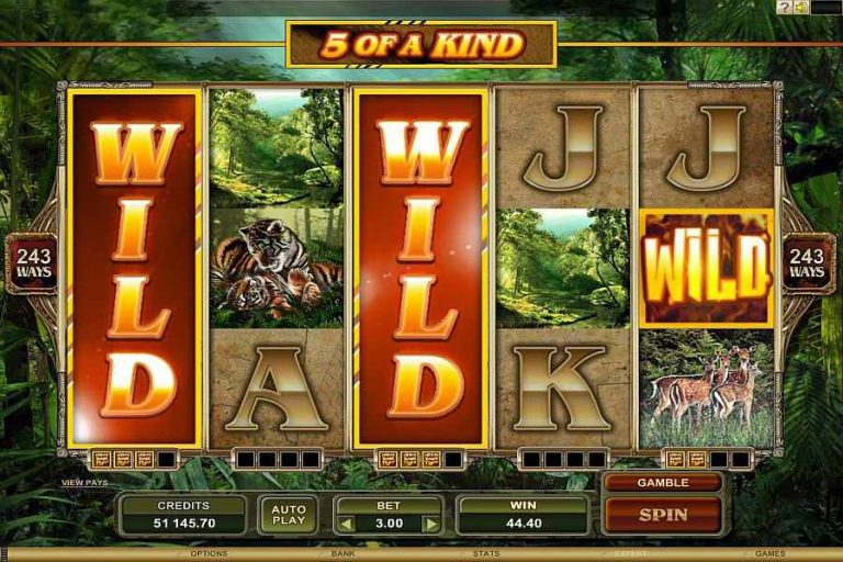 Slots guide | Basic rules of slots - growingruraltourism.ca